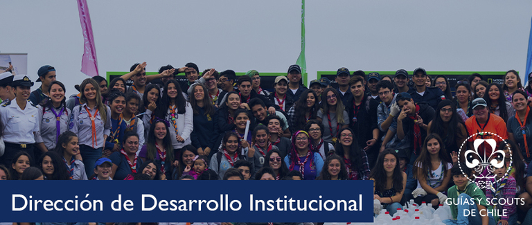 Dirección de Desarrollo Institucional - Asociación de Guías y Scouts de ...