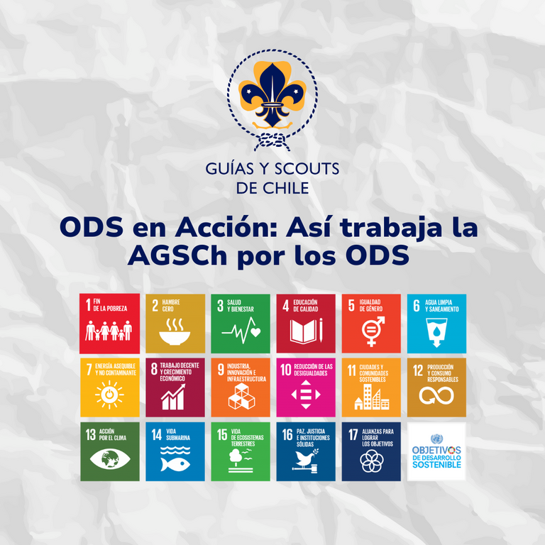 ODS en Acción: Así trabaja la AGSCh por los ODS - Asociación de Guías y ...